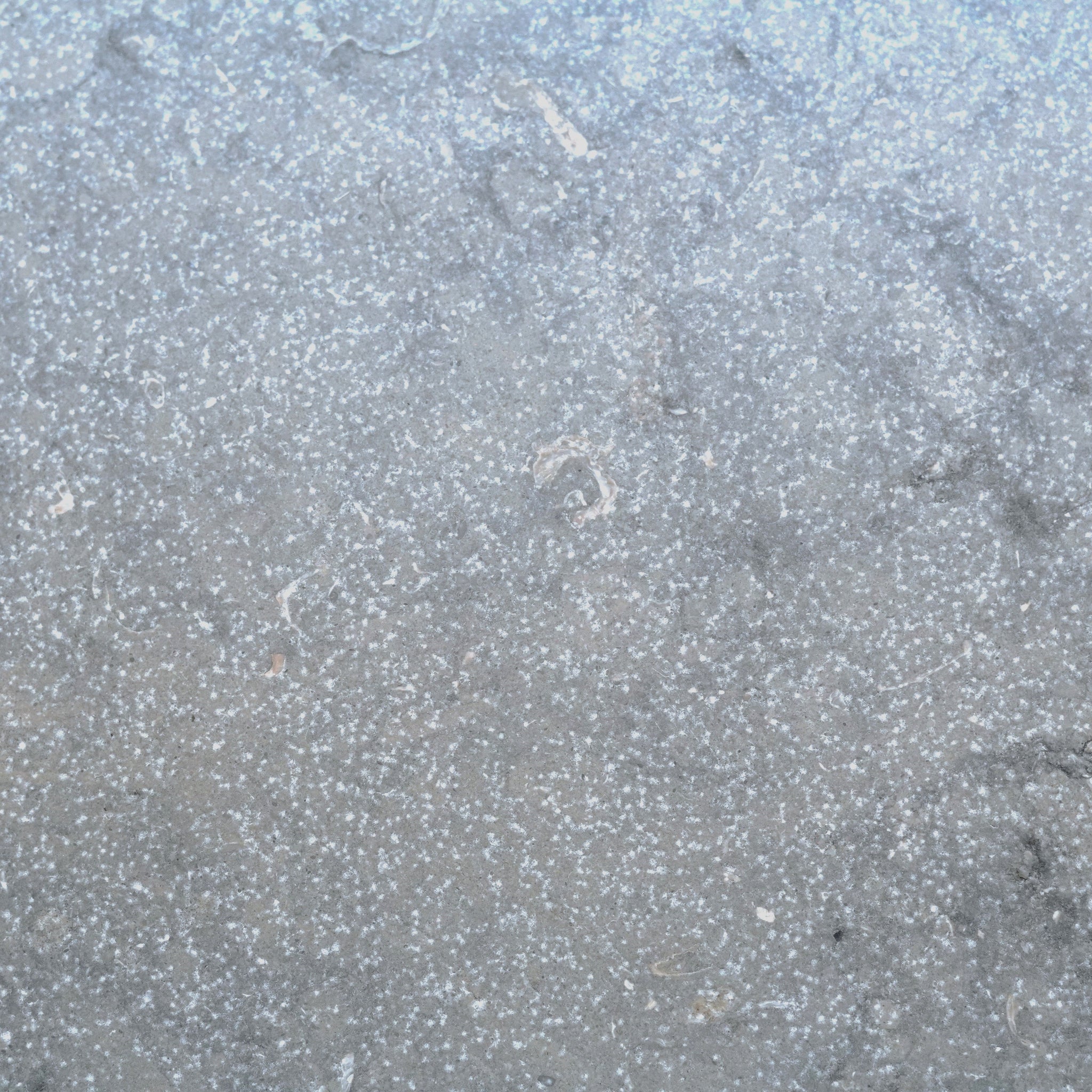 Atlantic Dark Limestone Collection | Tile, Mosaic, Trim | Surface Group