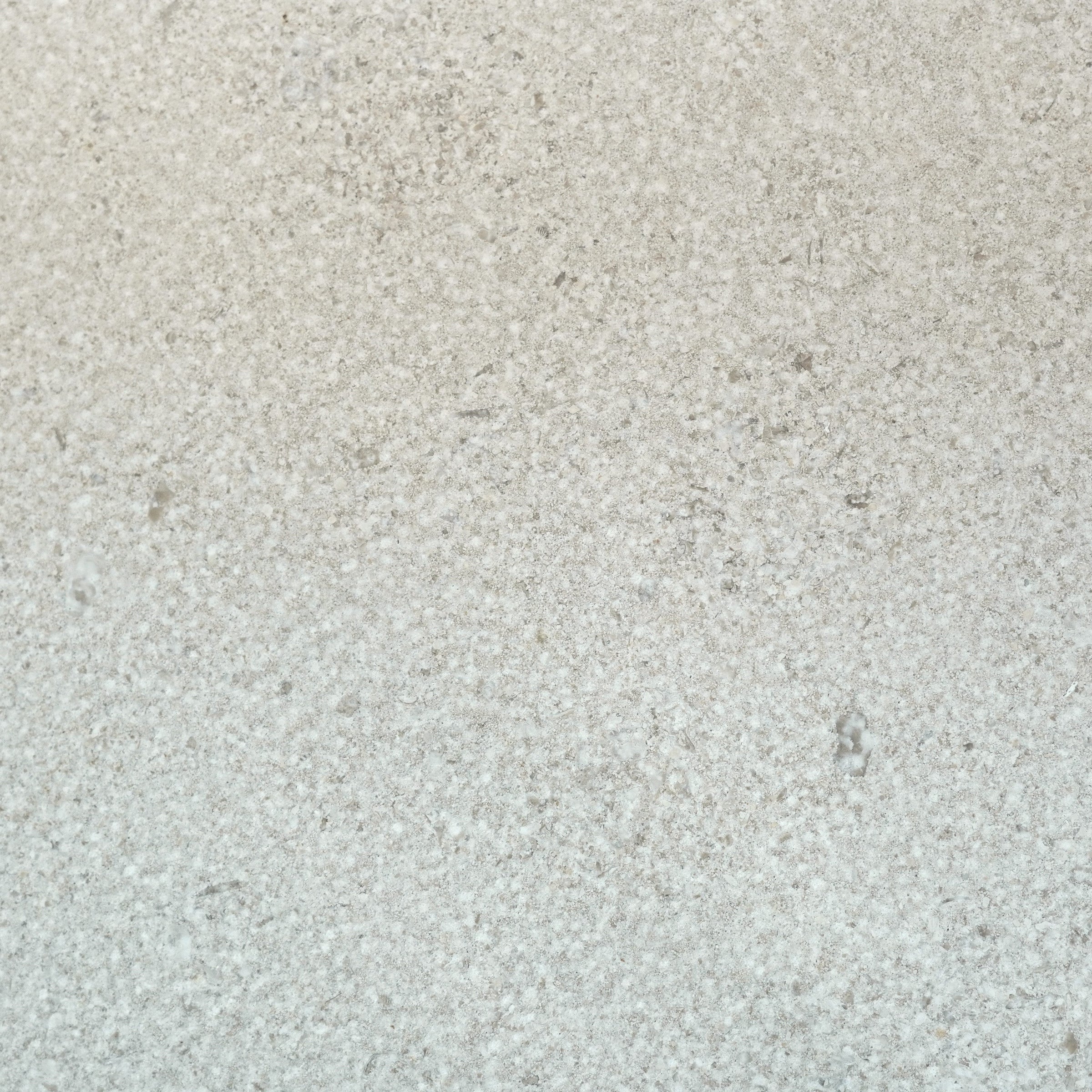 Moca Fossil Provence Limestone Collection | Tile, Mosaic, Trim ...