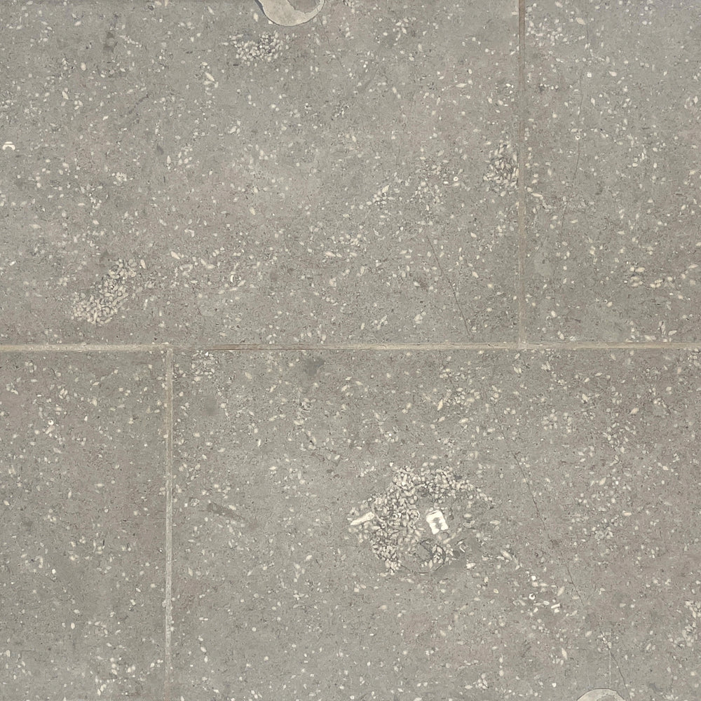 FOSSIL STAR GREY: Limestone Natural Stone Tile Collection. | Multiple ...