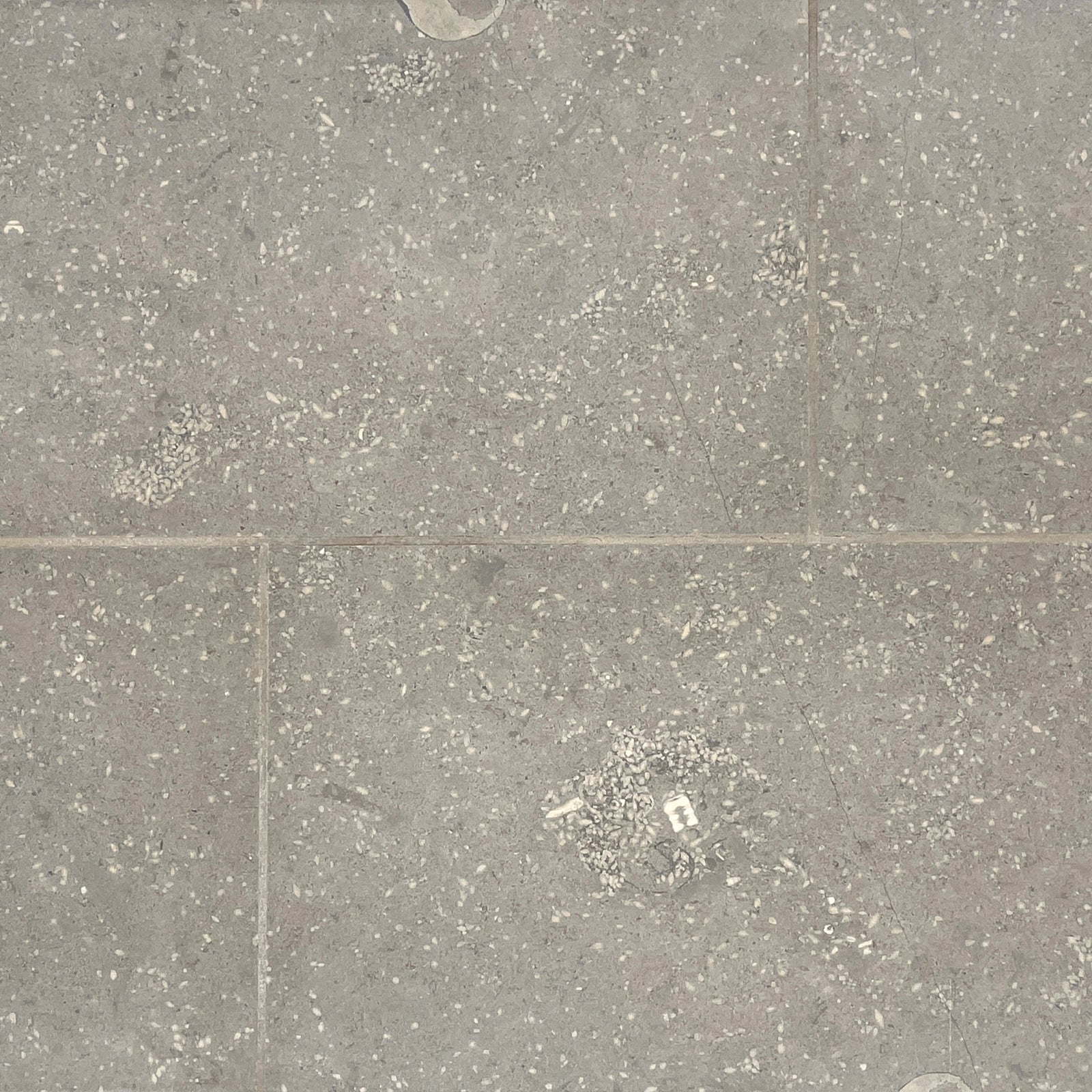 FOSSIL STAR GREY: Limestone Natural Stone Tile Collection. | Multiple ...