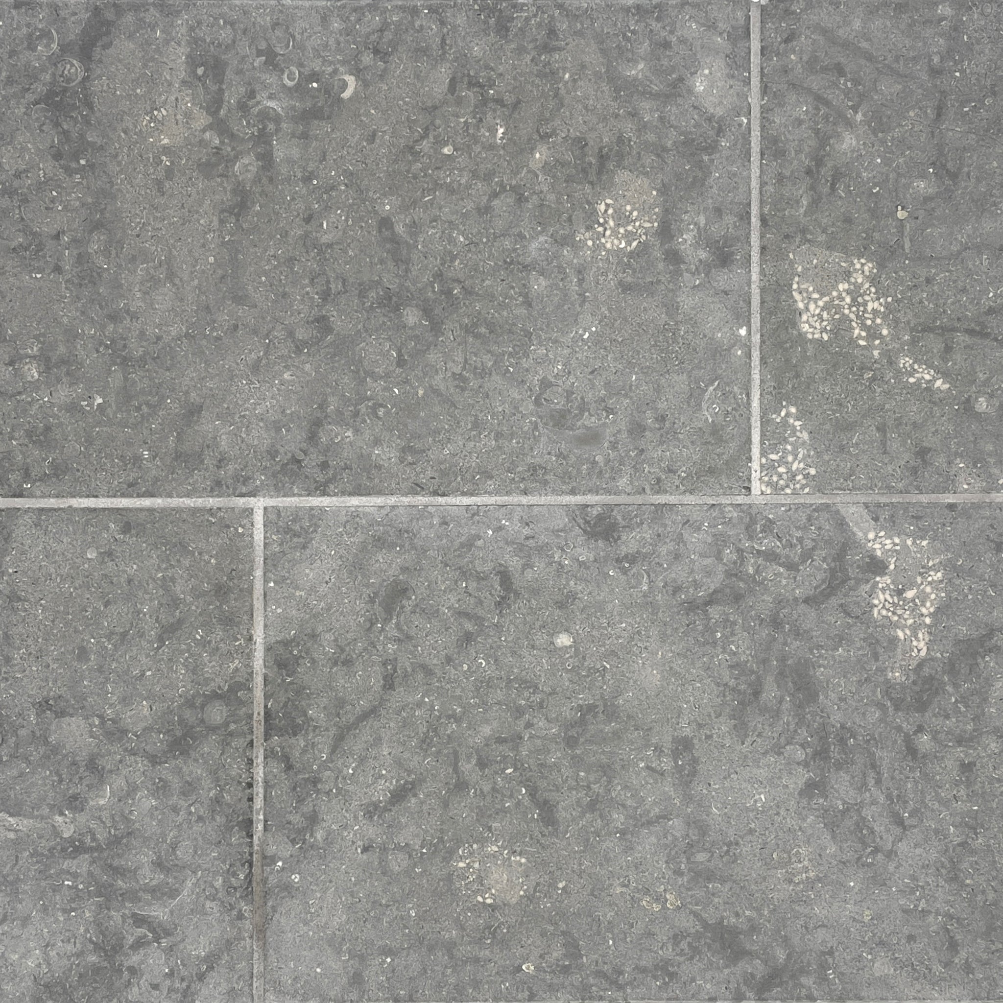 TUXEDO GREY: Limestone Natural Stone Tile Collection. | Multiple Sizes ...
