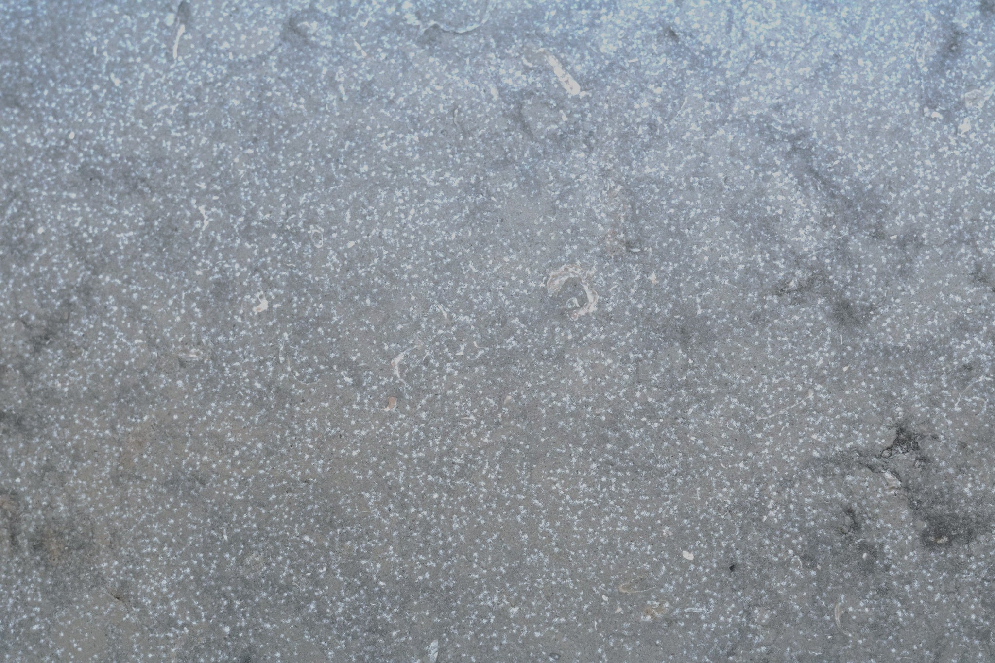 Atlantic Dark Antiqued Limestone | Black | 16"X32"X⅝" | Surface Group