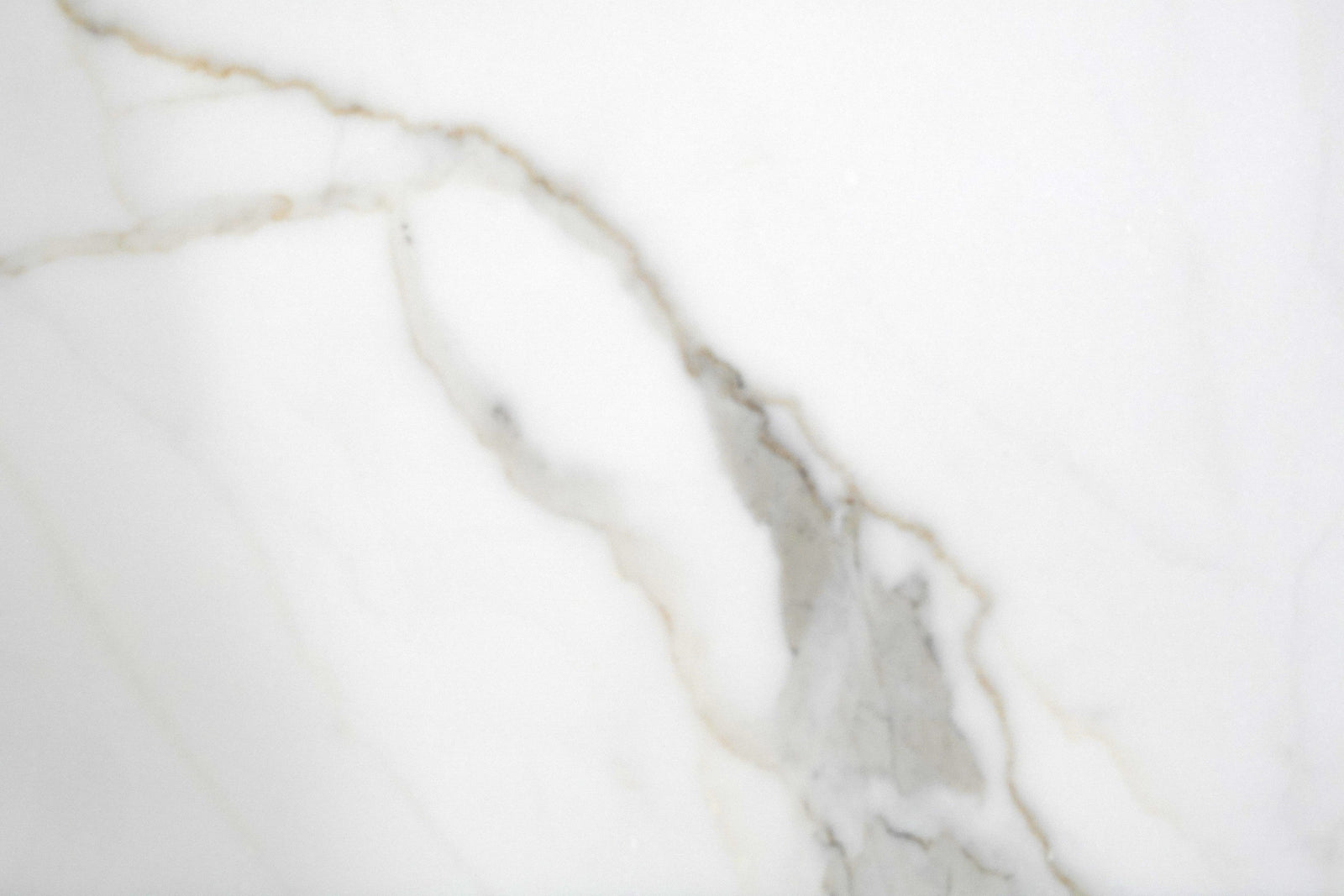 Calacatta Gold Honed Marble | Yellow | 6"X6"X⅜" | Surface Group