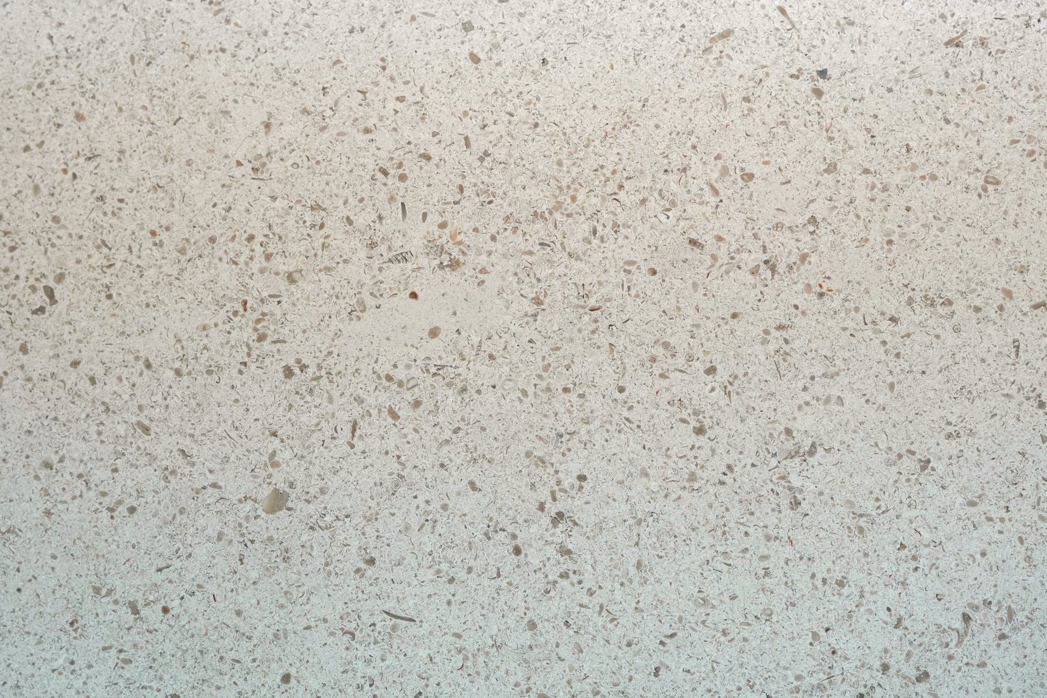 Gascogne Beige Timeworn Limestone | Beige | 16"X16"X⅝" | Surface Group ...