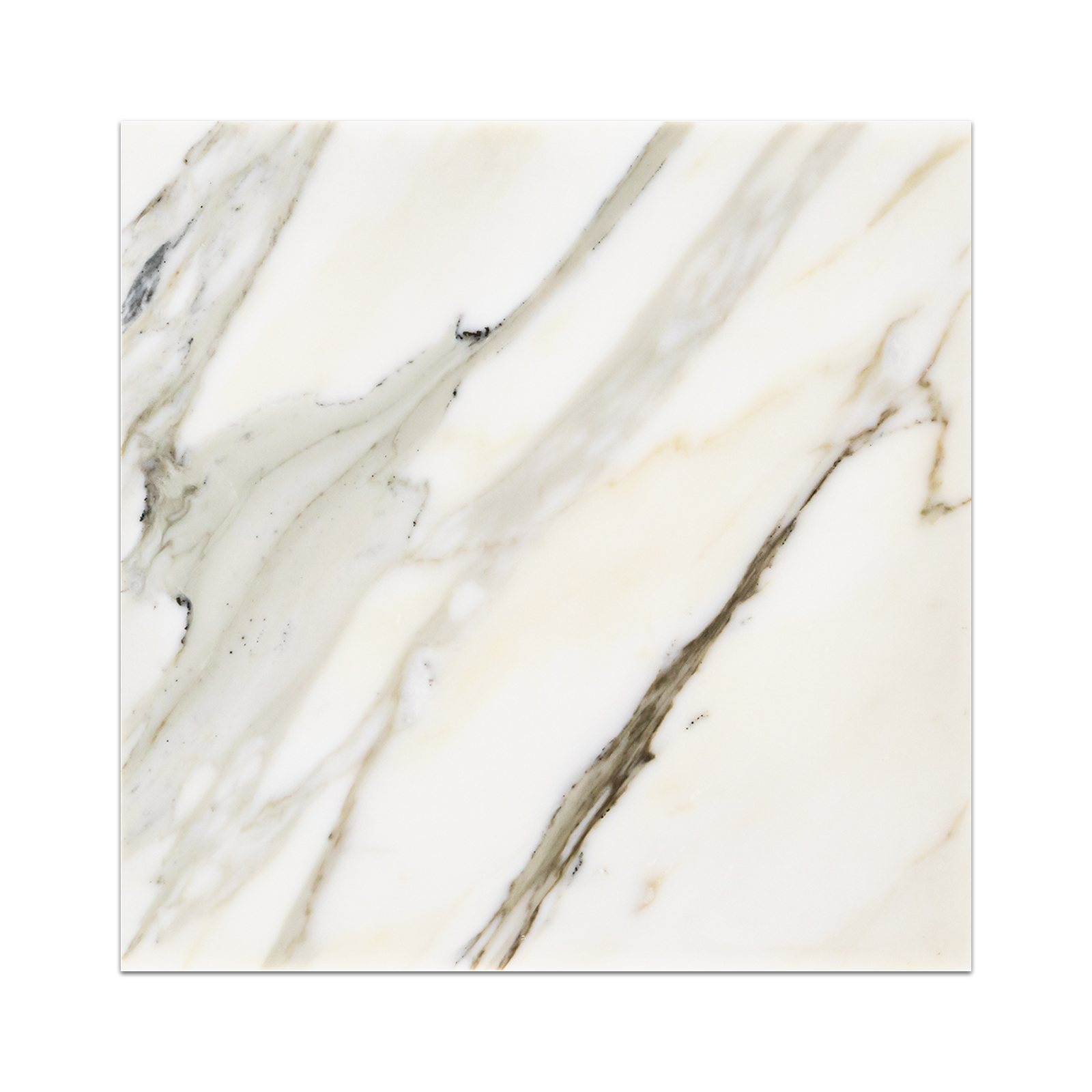 Calacatta Gold Marble Square Field Tile | 12"x12"x³⁄₈" | Polished ...