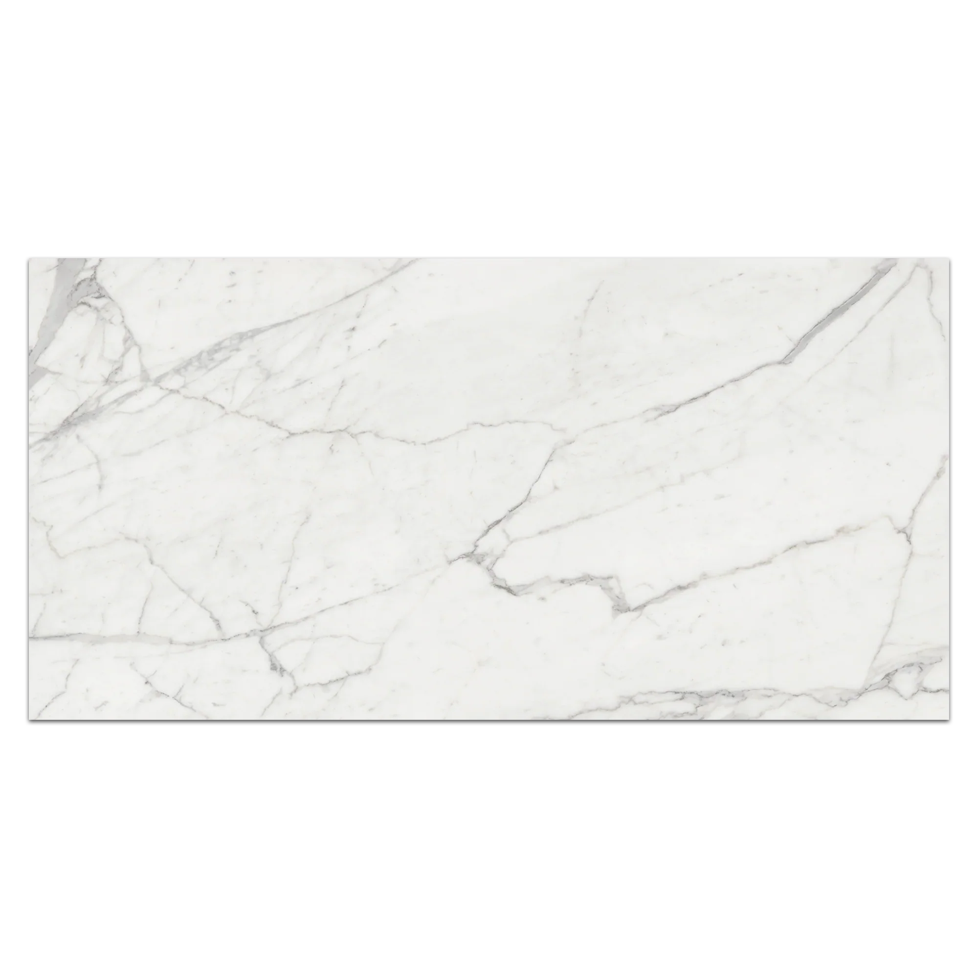 Nuance Calacatta Porcelain Rectangle Field Tile | 24"x48"x³⁄₈" | Honed ...