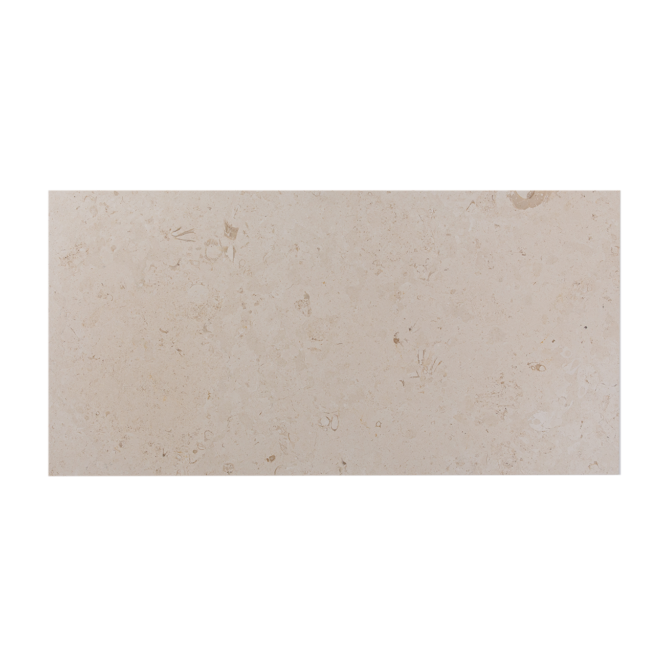 Sainte Croix Limestone Field Tile | 12"X24"X3/8" | Honed | Surface Group