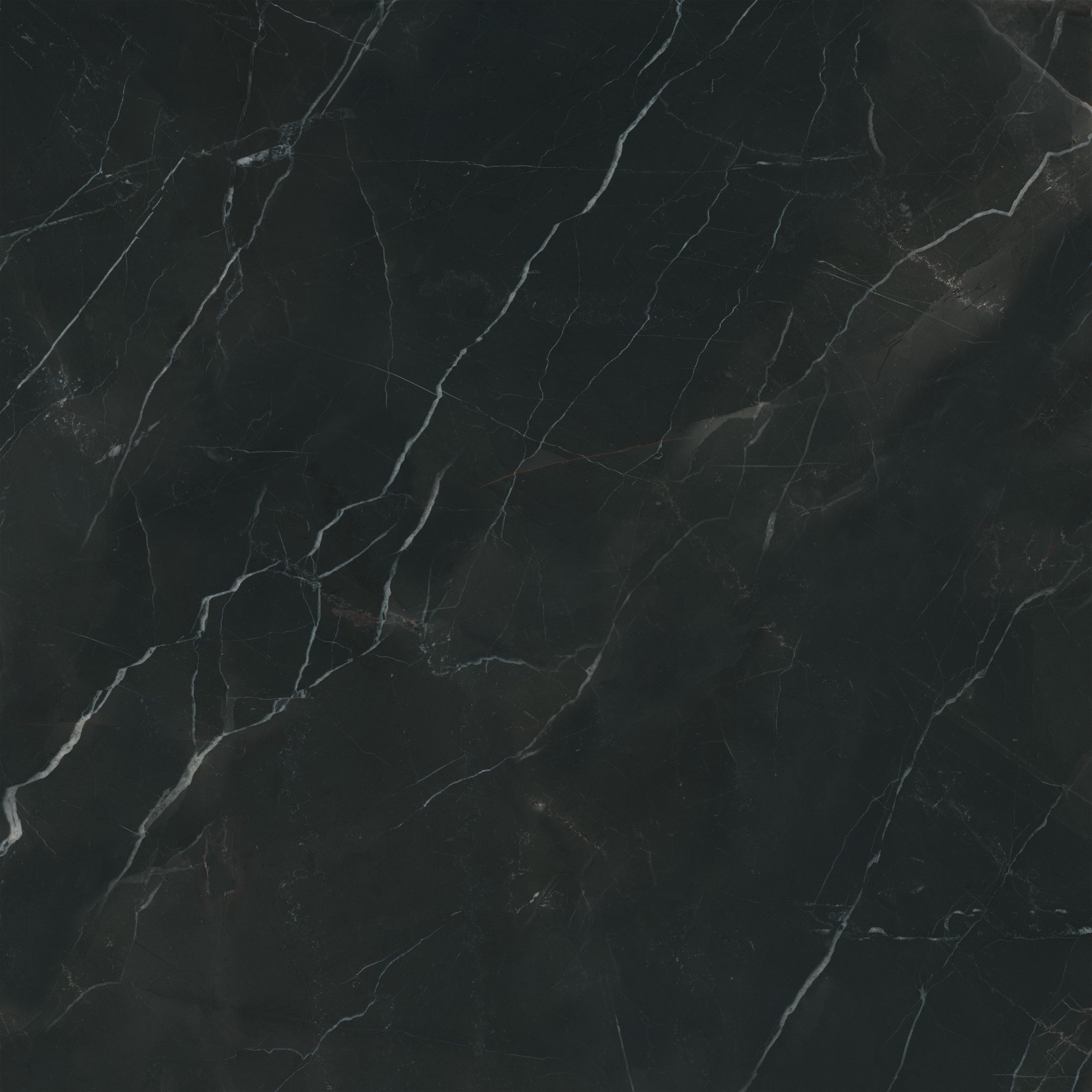 CHARME EVO: Calacatta Black Field Tile | 24"x24"x9-mm | matte | Surface ...