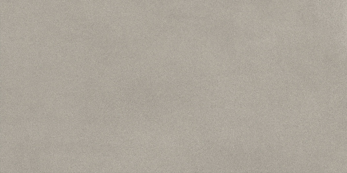 MASTERPLAN: Cosmopolitan Ash Field Tile | 24"x48"x9-mm | matte ...