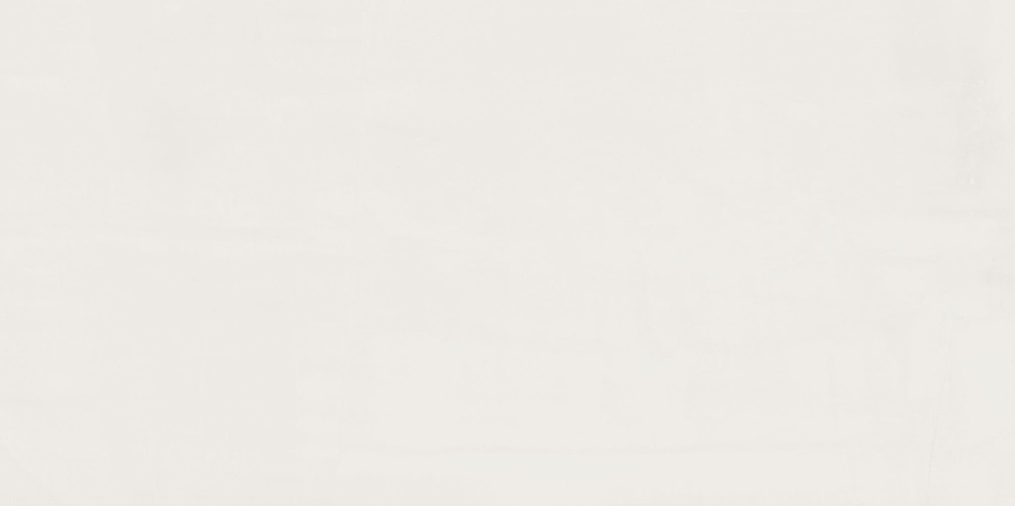 VISION COLOR: Star White Field Tile | 12"x24"x9-mm | matte | Surface ...