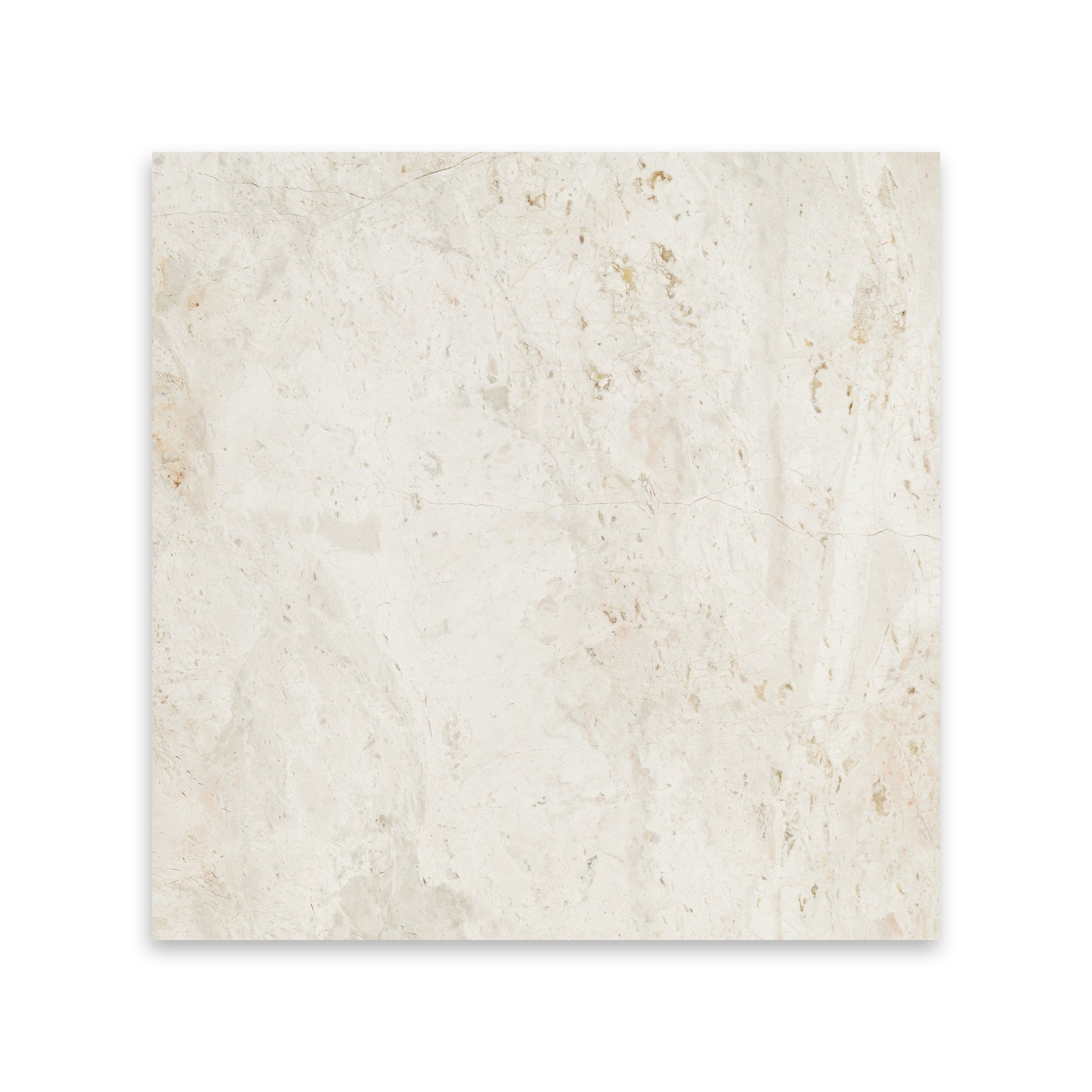 French Vanilla Marble Square Field Tile | 12"X12"X3/8" | Polished ...