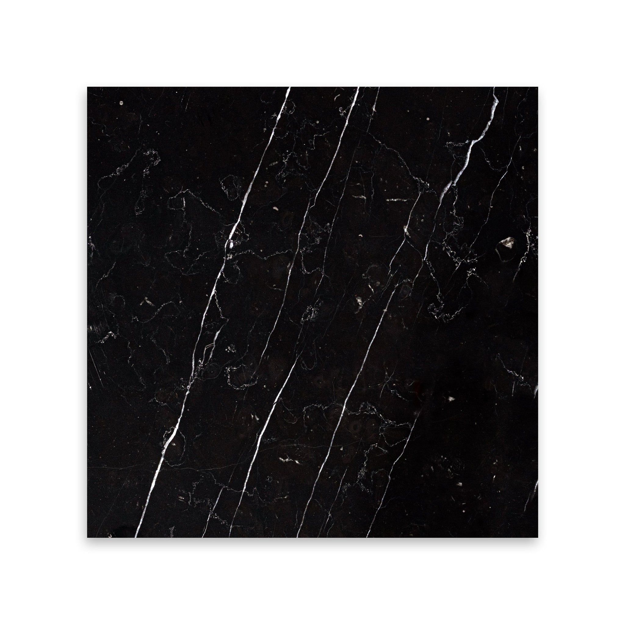 China Black Marble Square Field Tile | 12"X12"X3/8" | Honed | Surface Group
