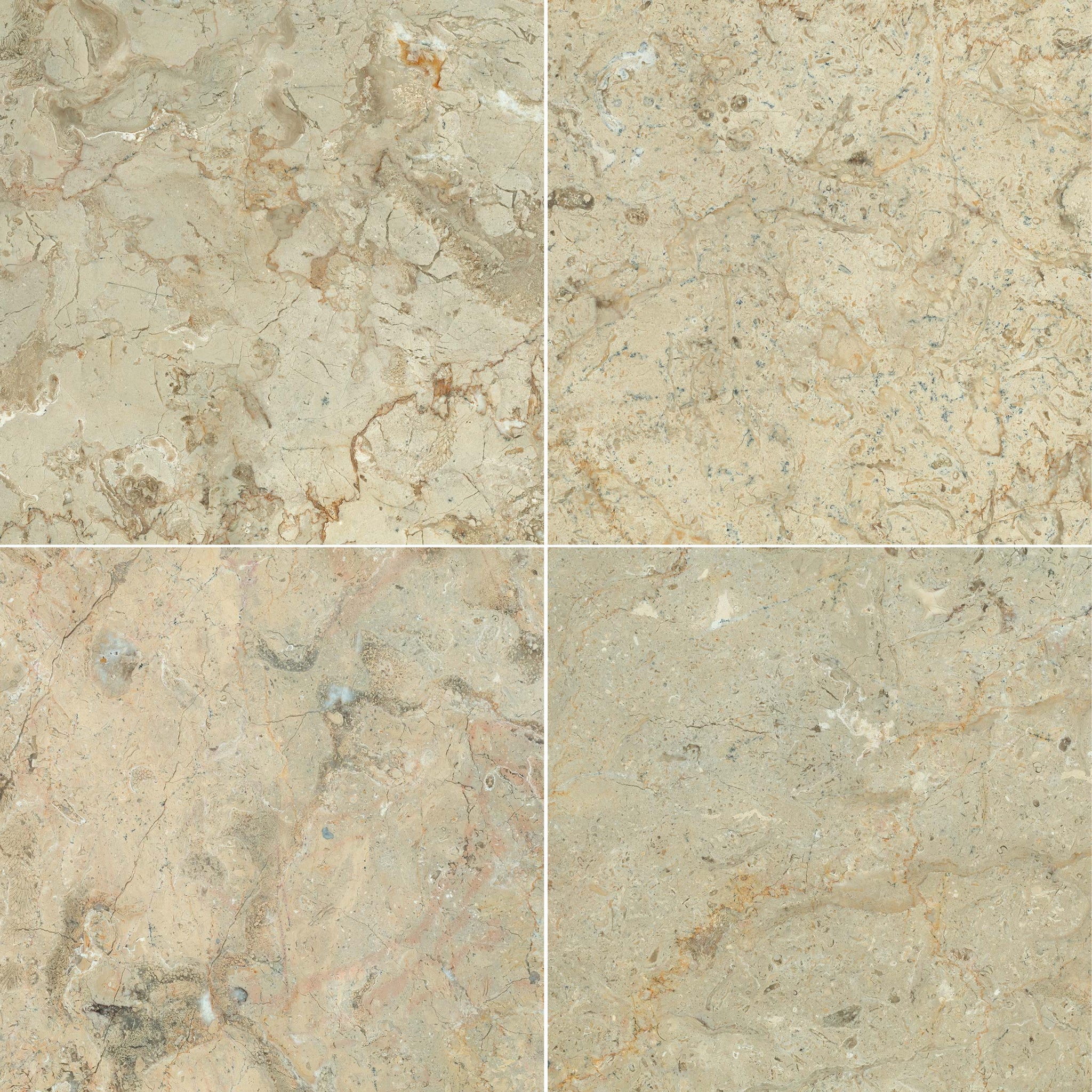Sahara Gold Marble Square Field Tile | 12"X12"X3/8" | Honed | Surface Group