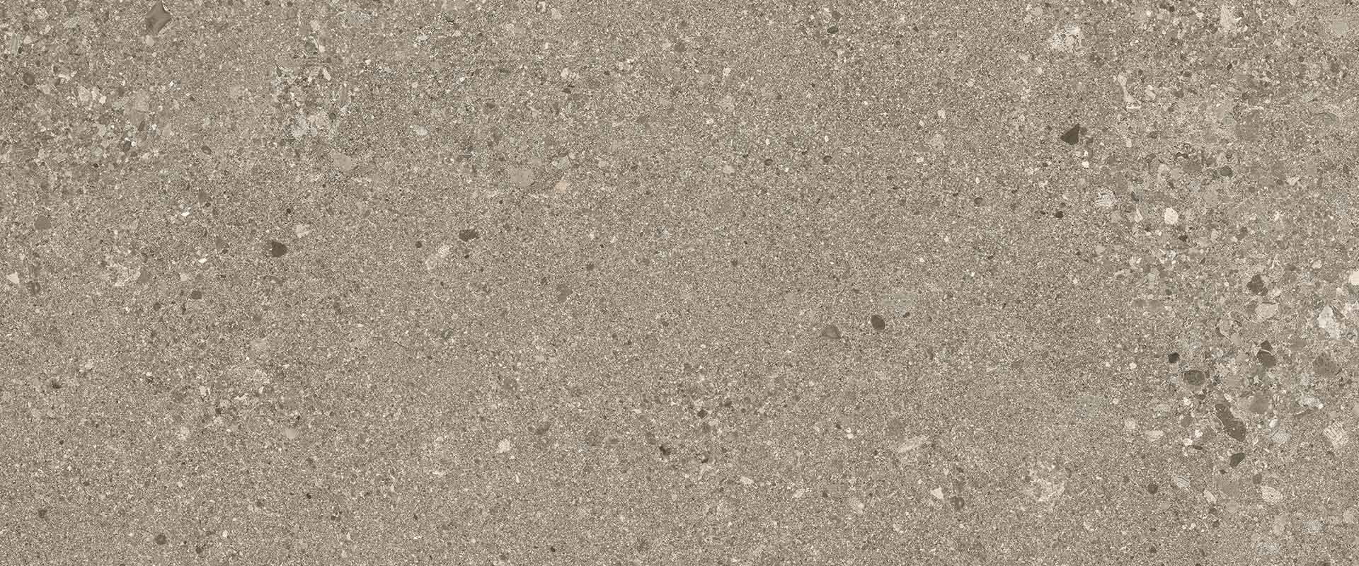 BUY ONLINE: Grain Taupe Porcelain Field Tile | 24"x48"x9.5-mm | Tecnica ...