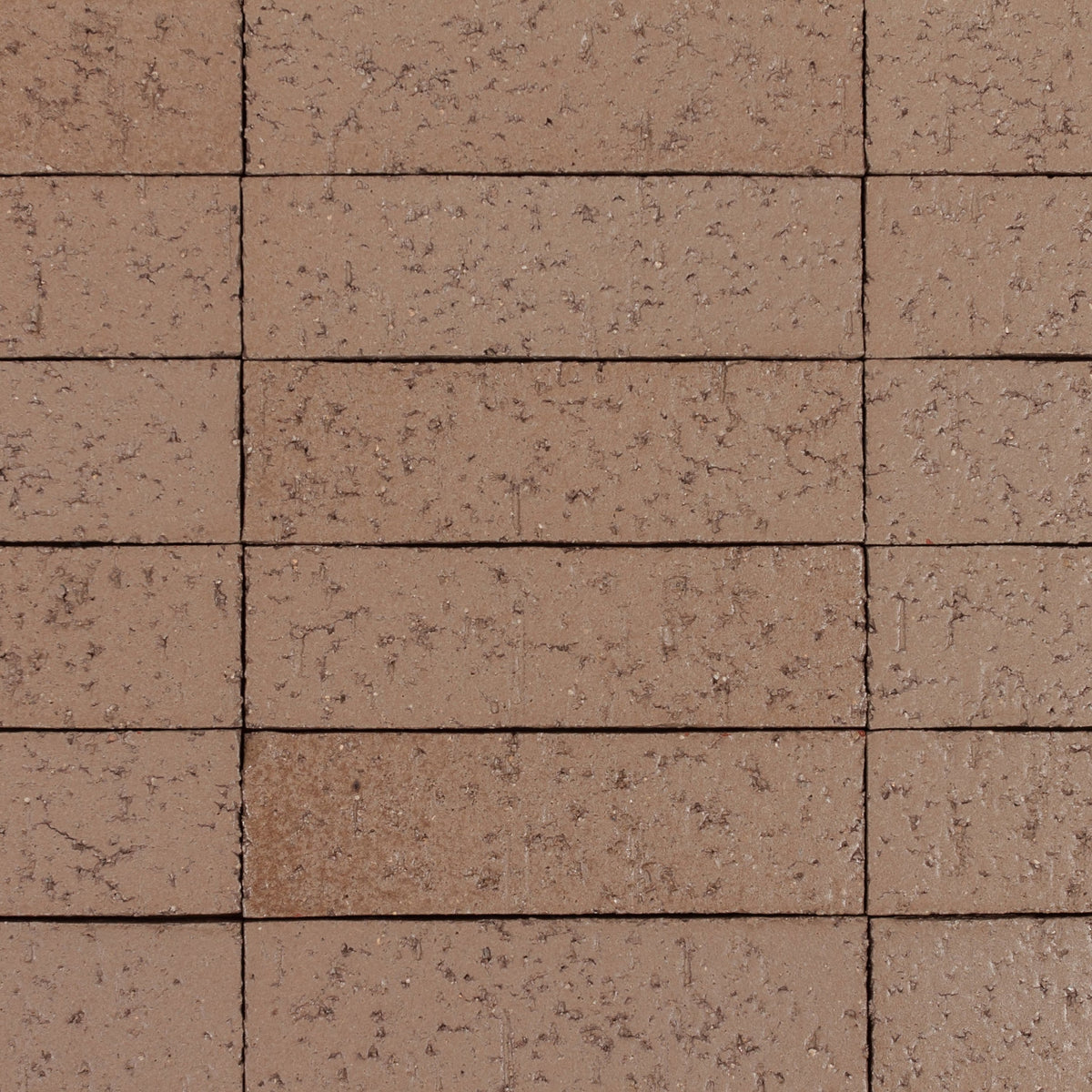 Glazed Ceramic Brick Veneer: Nutshell | Flat 2¼"x7⅝"x⅝" | Arto ...