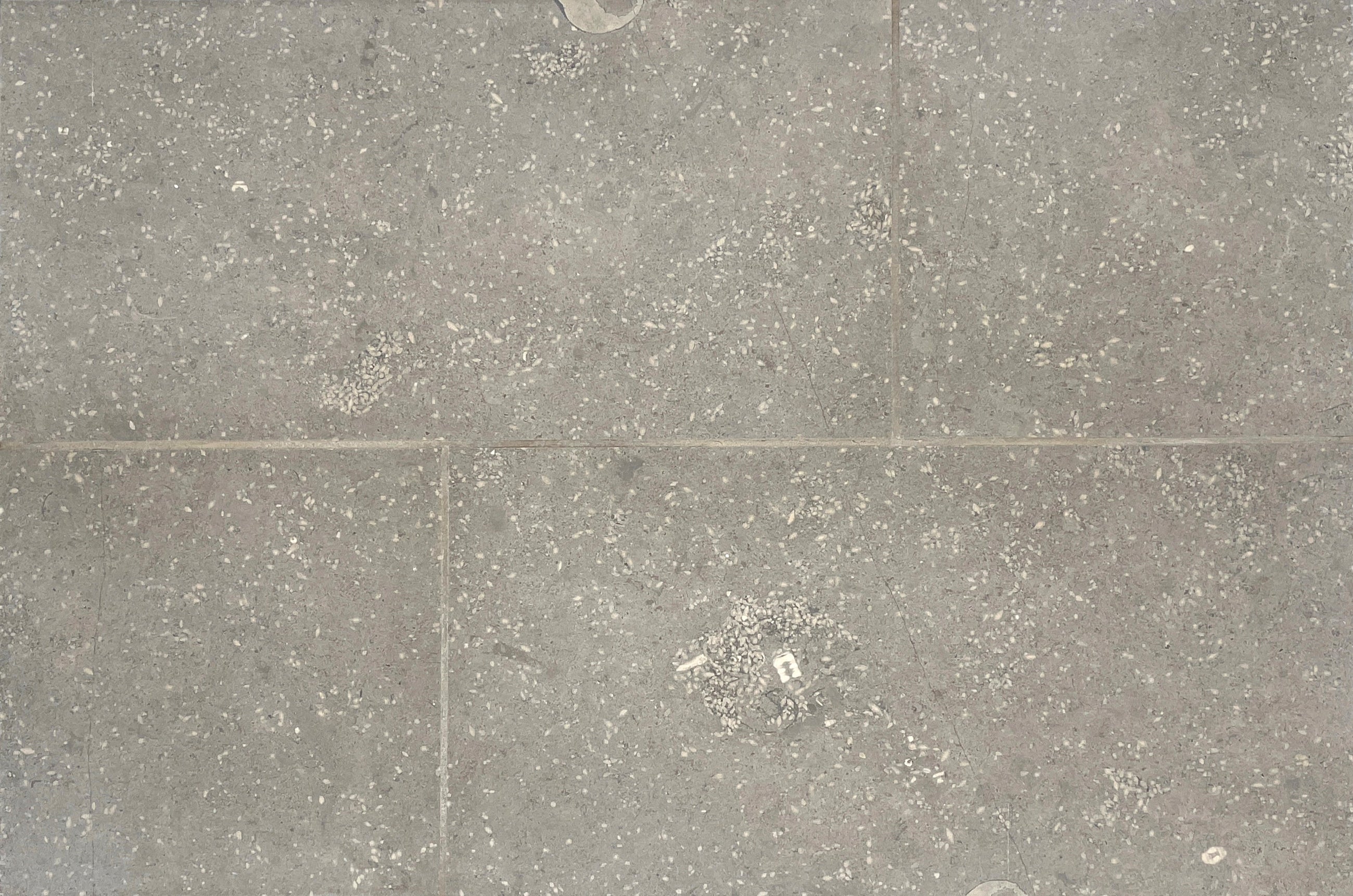 BUY ONLINE: Fossil Star Grey 5-Piece Versailles Pattern | Honed ...