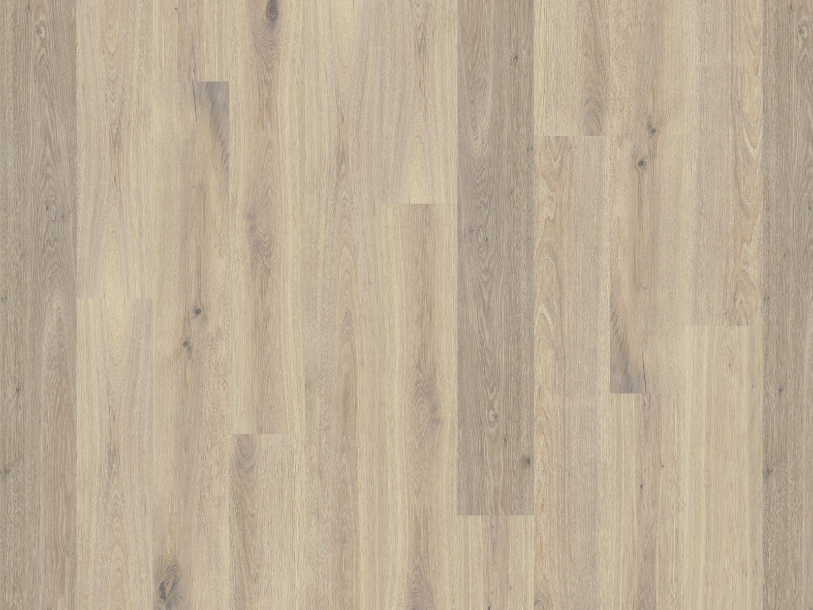 BUY ONLINE: Mistral Global Winds Engineered Hardwood Flooring ...