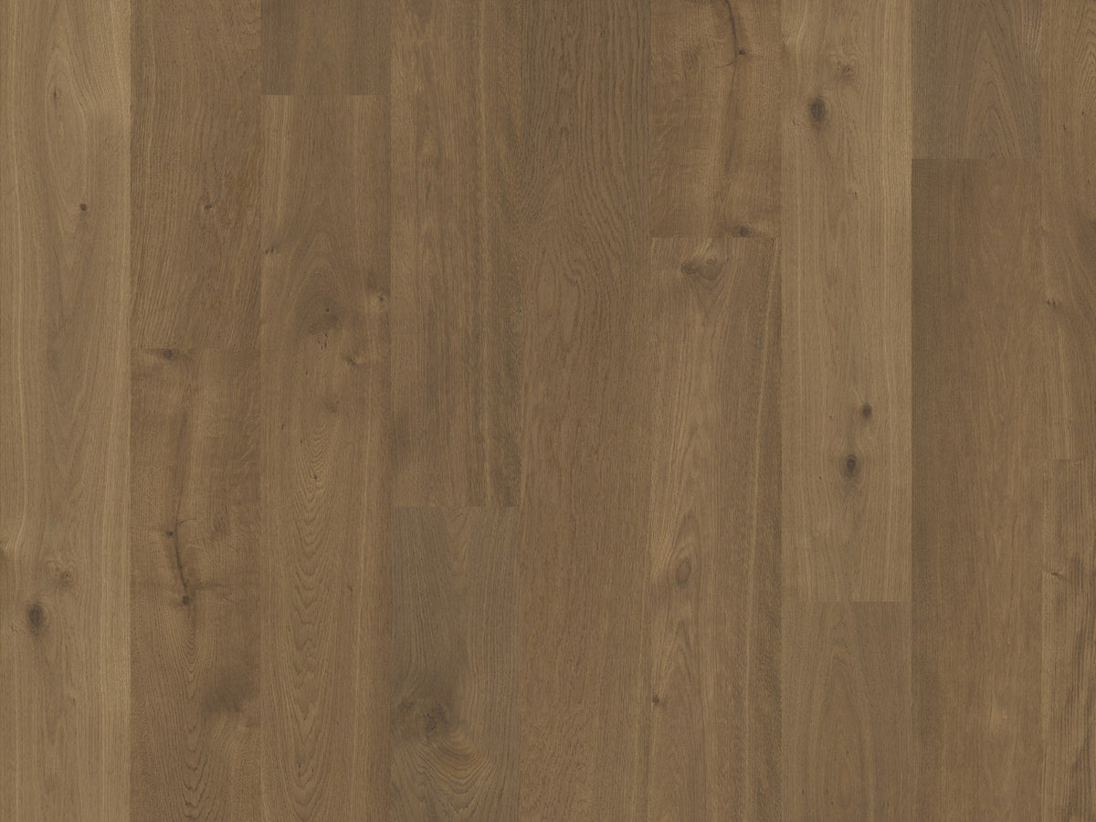 BUY ONLINE: Alpine Terra Engineered Hardwood Flooring | European Oak ...